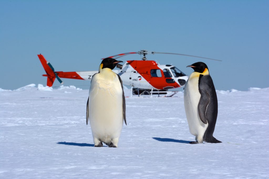 Antarctic Operations - Canadian Helicopters