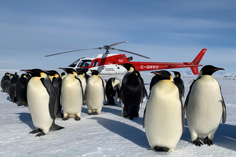 Antarctic Operations - Canadian Helicopters